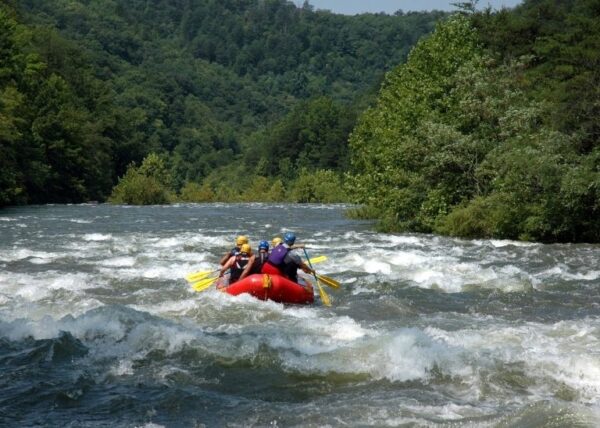 11 Best and Fun Things to Do in Shimla | Insta Himachal