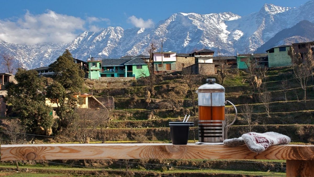 Top Cafes in Naddi and Dharamkot | Dharamshala - Insta Himachal