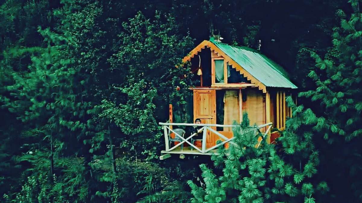 Treehouses in Jibhi that You’ll Want to Stay in Forever | Insta Himachal